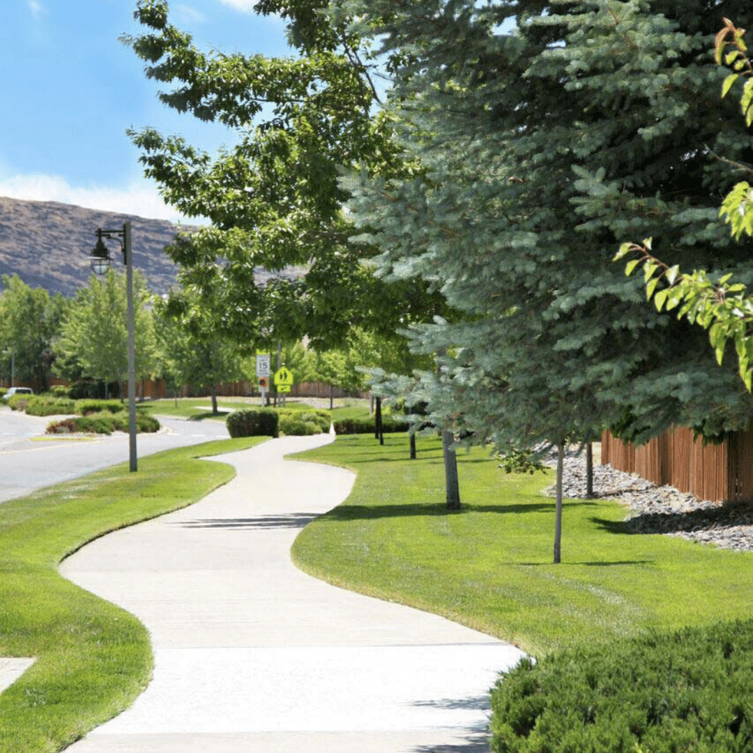 Knowledge Center | Reno Green Landscaping