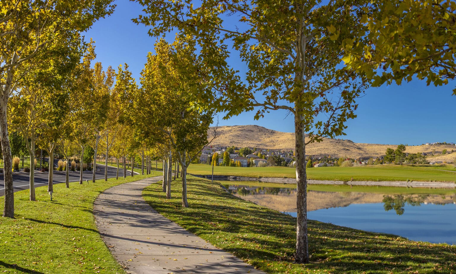 Featured Landscaping Projects | Reno Green Landscaping